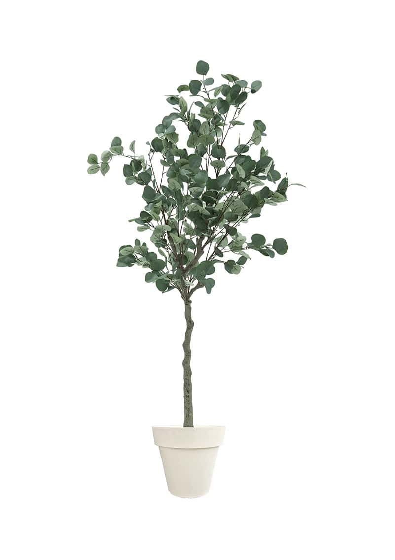 Faux Eucalyptus Tree 140cm In Off White Planter - Events Partner